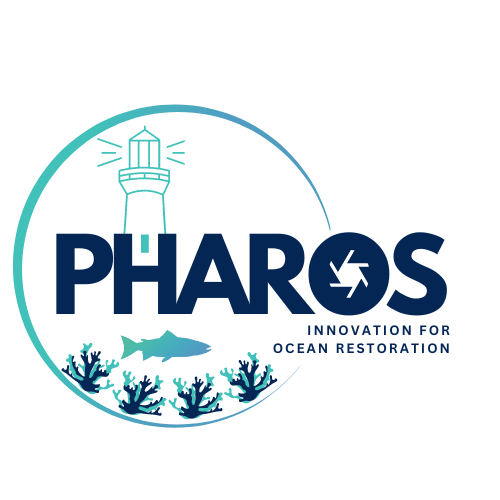 Marine Protected Areas And How They Protect Marine Life