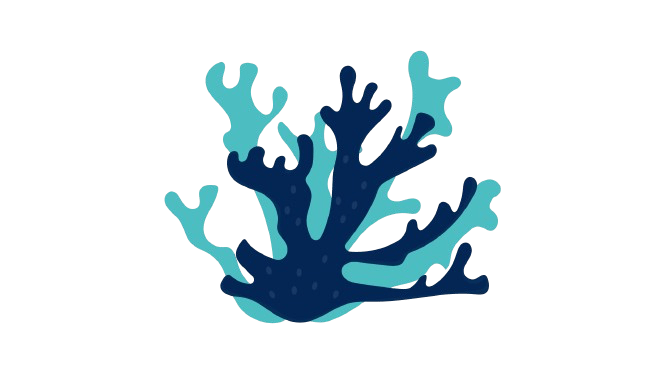 About - PHAROS Project