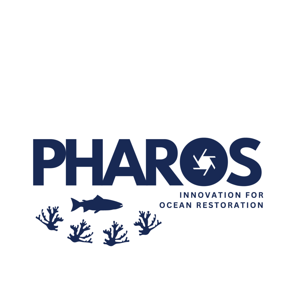 Visual Identity - PHAROS Project