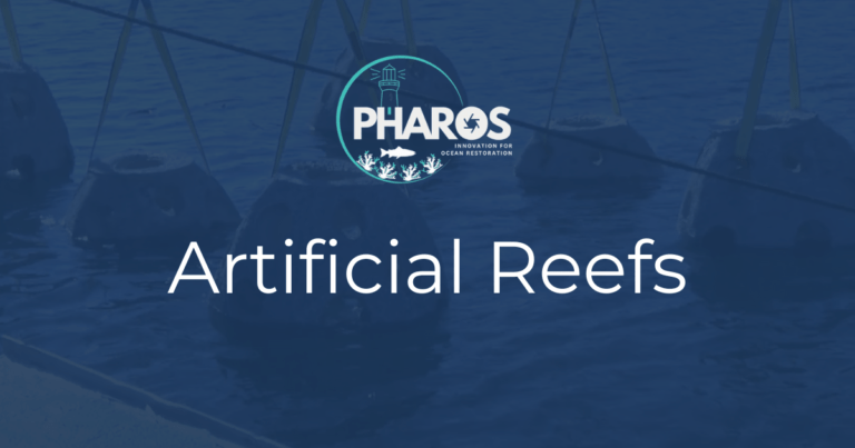 Artificial Reefs - PHAROS Project
