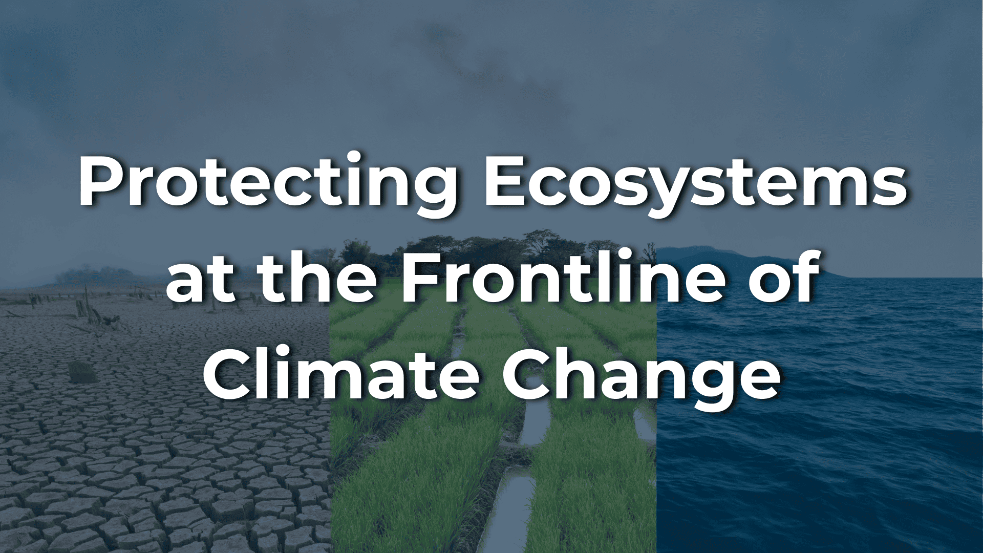 Protecting Ecosystems at the Frontline of Climate Change - PHAROS Project