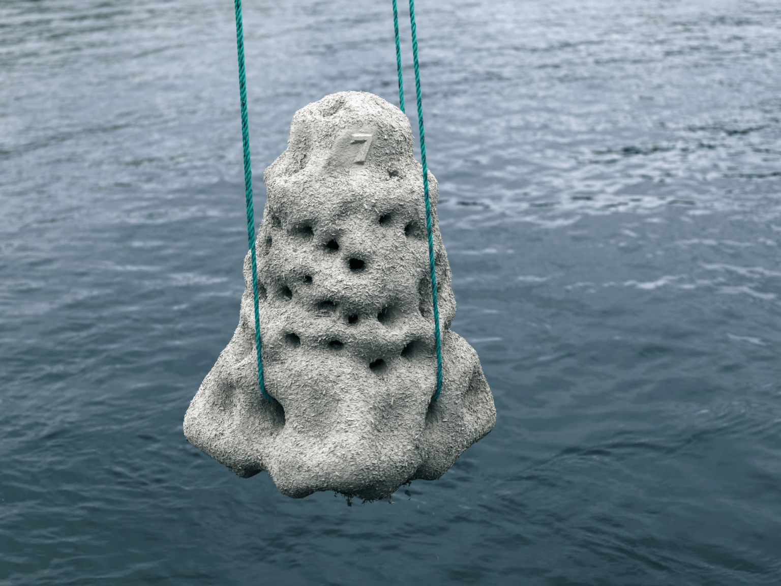 Elnida-rif Reefs in the Porsangerfjord, Norway